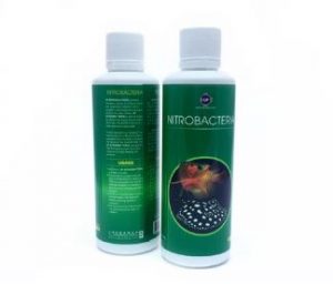 Nitrobacteria 300 ml Up Acua 🐟 - 🐠 Esporas latentes de bacterias ...